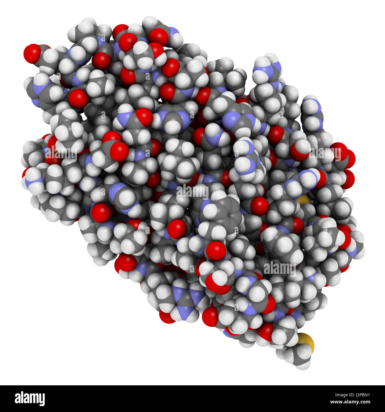 Thrombopoietin (THPO, functional domain) hormone. Regulates production ...