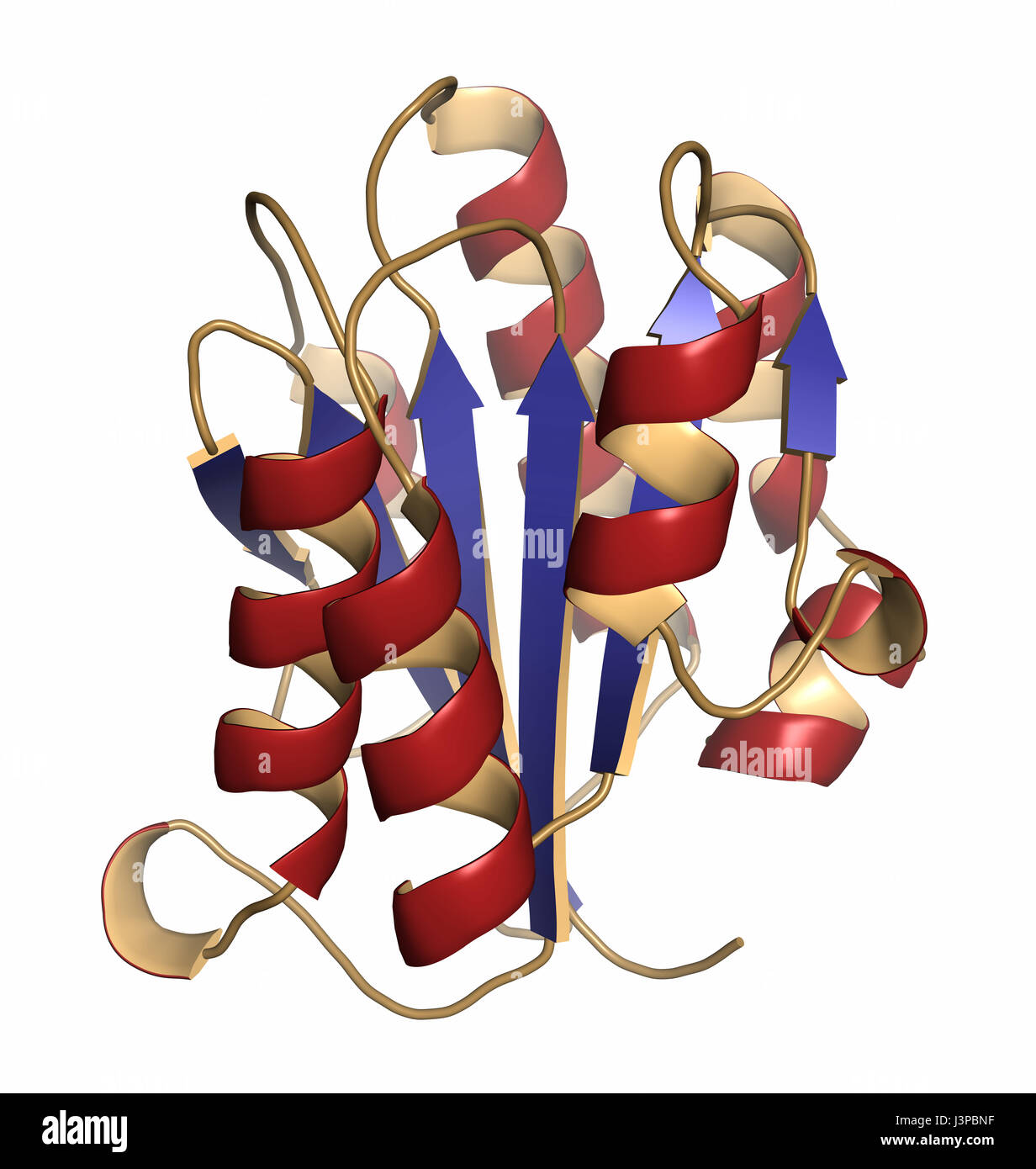 Von Willebrand factor (A3 domain). Defects and deficiencies cause ...