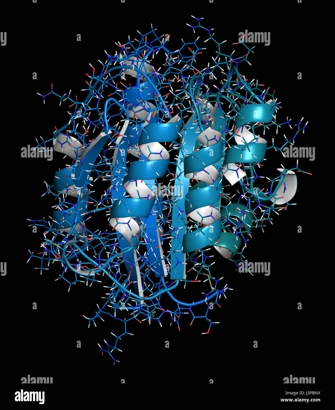 Von willebrand disease hi-res stock photography and images - Alamy