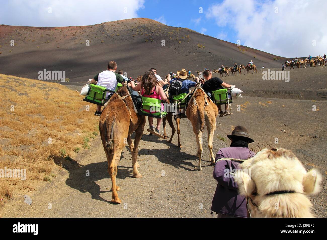 Camel trek at Timanfaya National Park, tourists enjoying camel ride ...