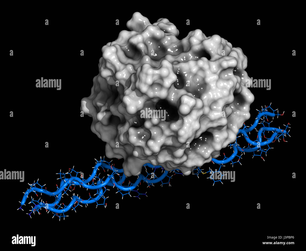 Von Willebrand factor (A3 domain) bound to collagen. Defects and ...