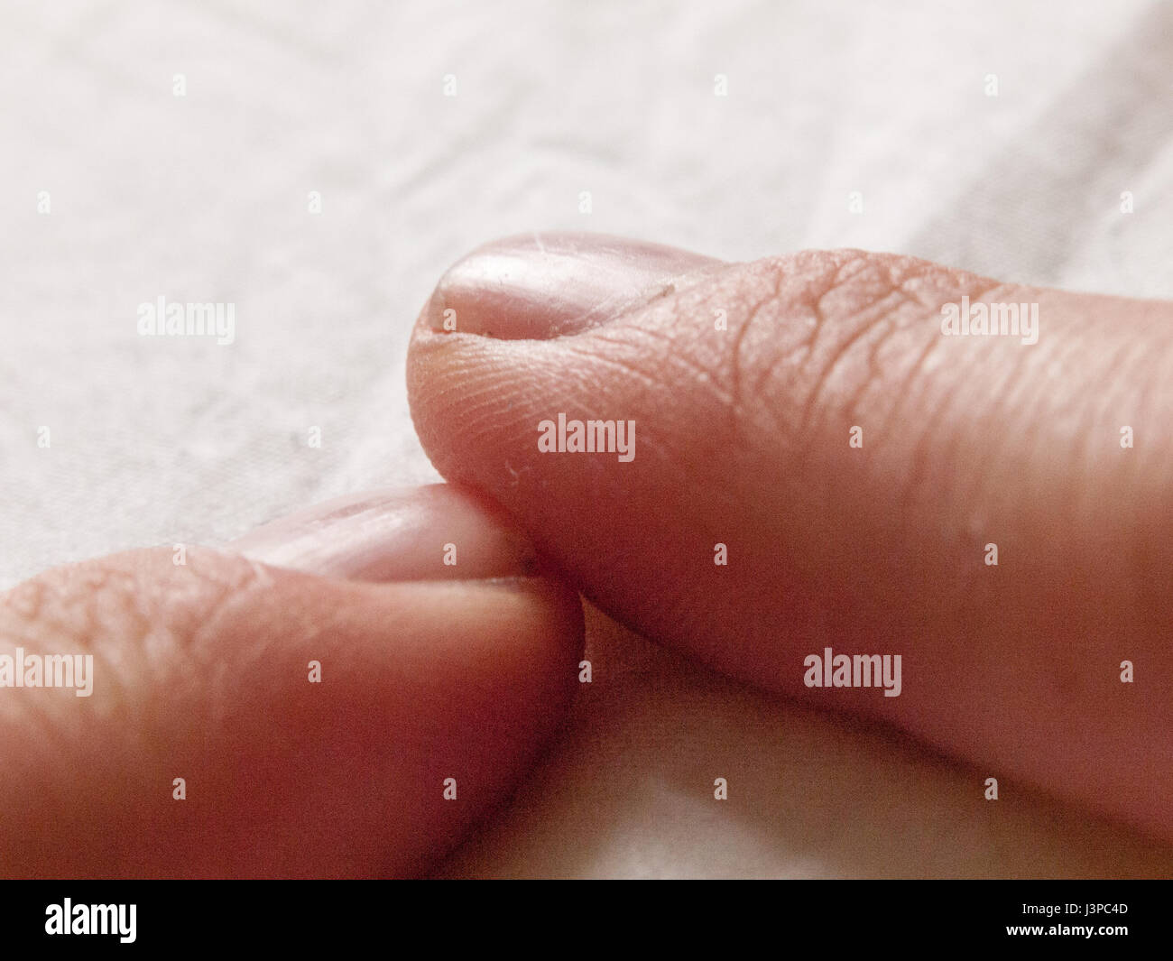 two human fingers connecting close up white background studio Stock ...