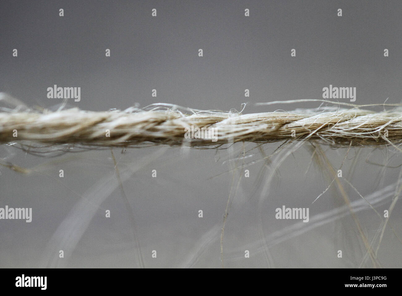 Jute cord, closeup. Short segment of rope twine is stretched lengthwise ...