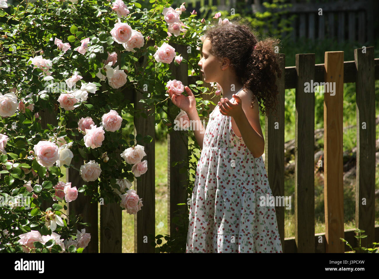 Adorable little girl smelling roses in the garden Stock Photo - Alamy