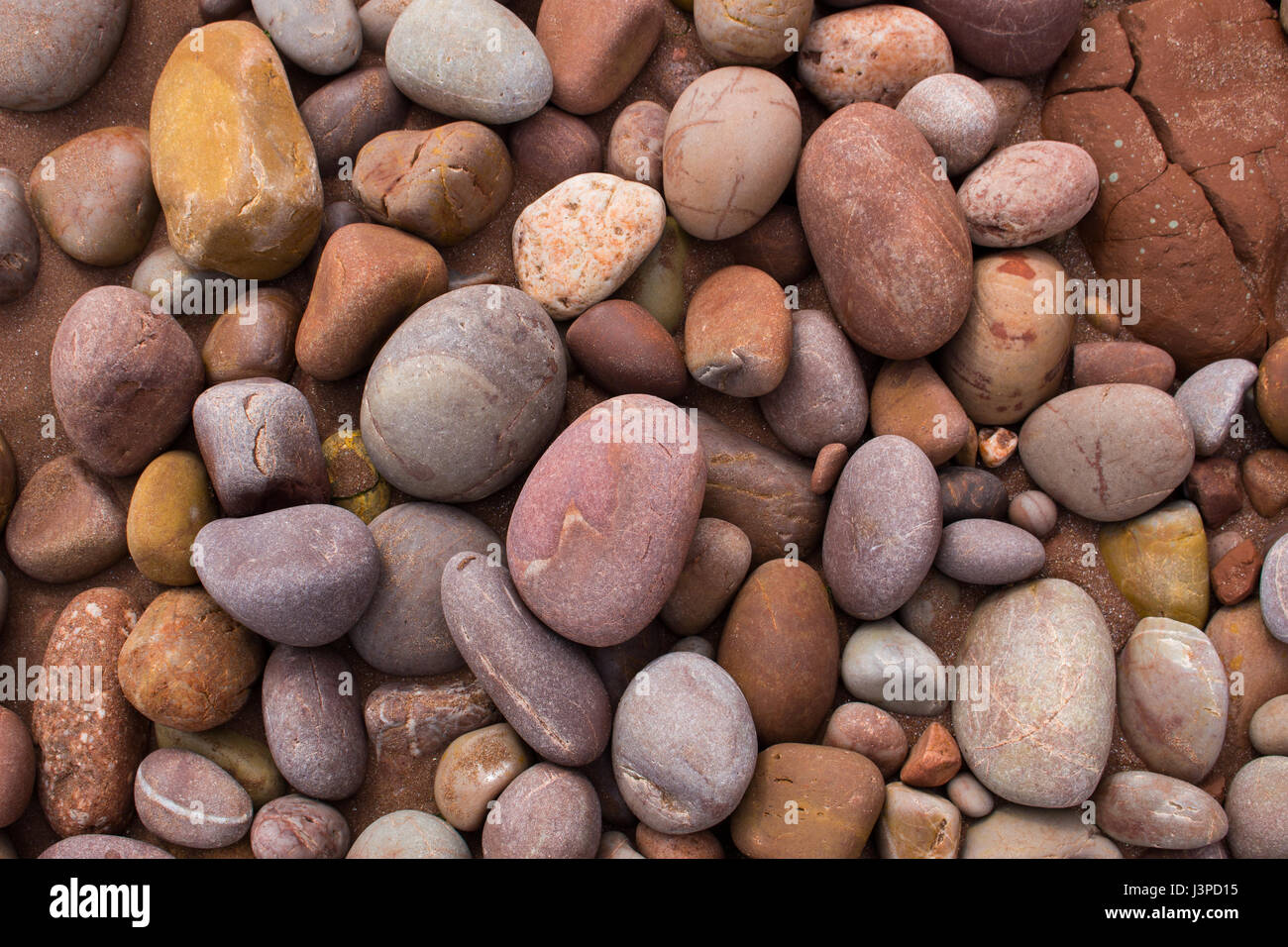 Colourful pebbles on a beach Stock Photo - Alamy