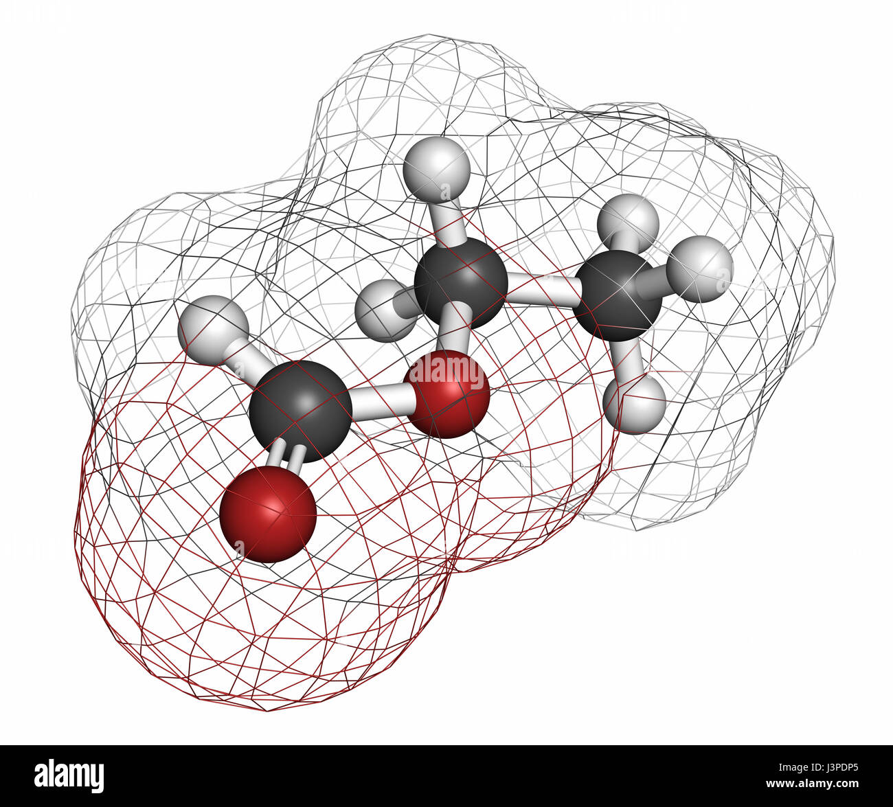 Ethyl formate (ethyl methanoate) molecule. Atoms are represented as ...
