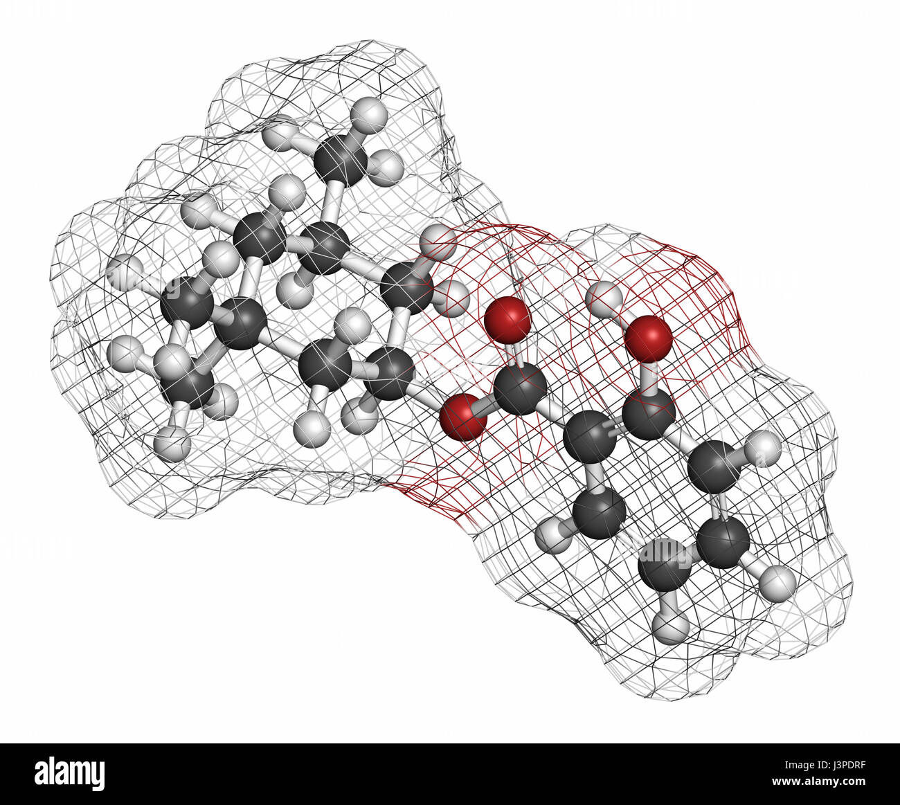 Homosalat High Resolution Stock Photography and Images - Alamy