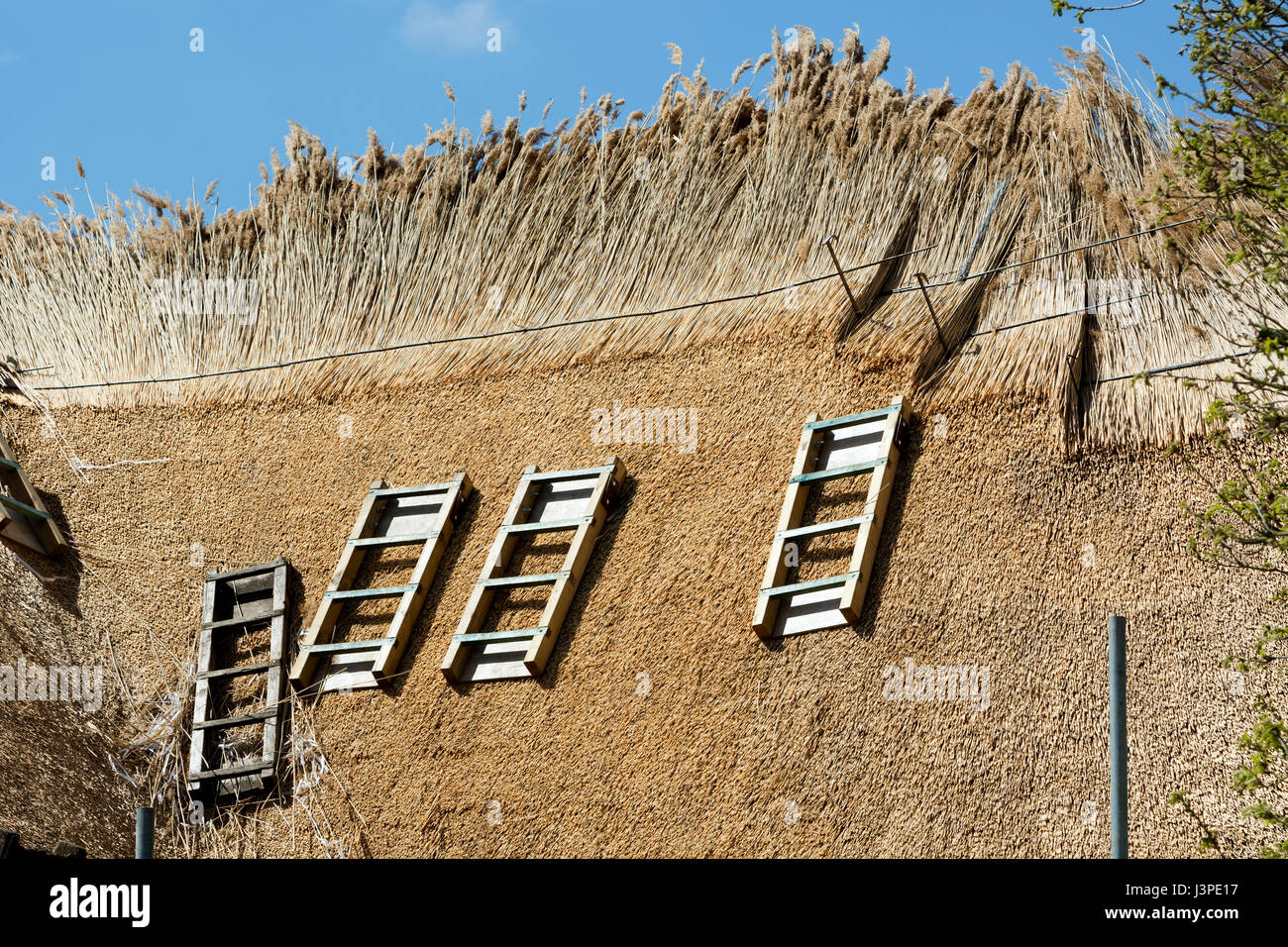 Thatch thatched thatching hi-res stock photography and images - Alamy