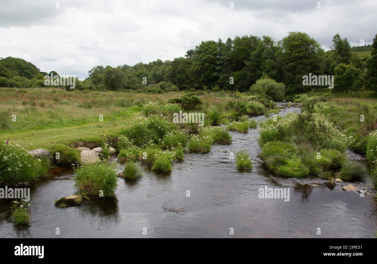 River Dart flowing through countryside at Postbridge, Dartmoor National ...