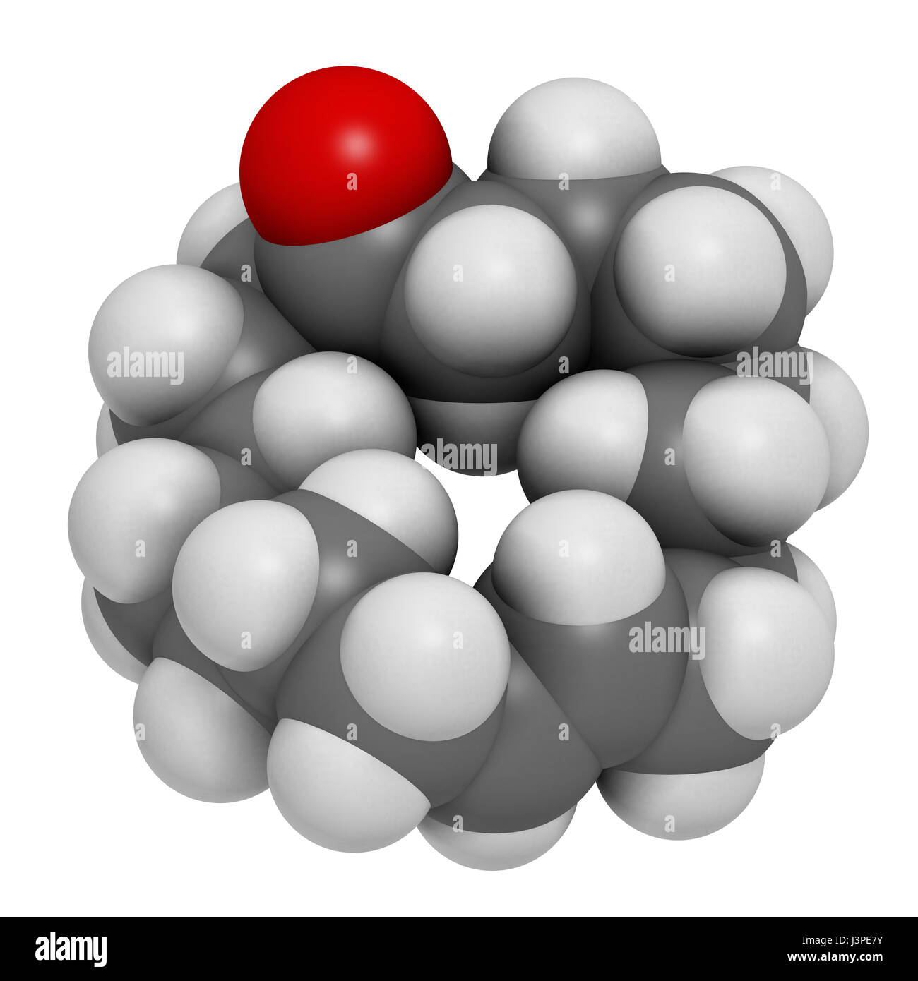 Civetone civet cat pheromone molecule. Used in perfume. Atoms are ...