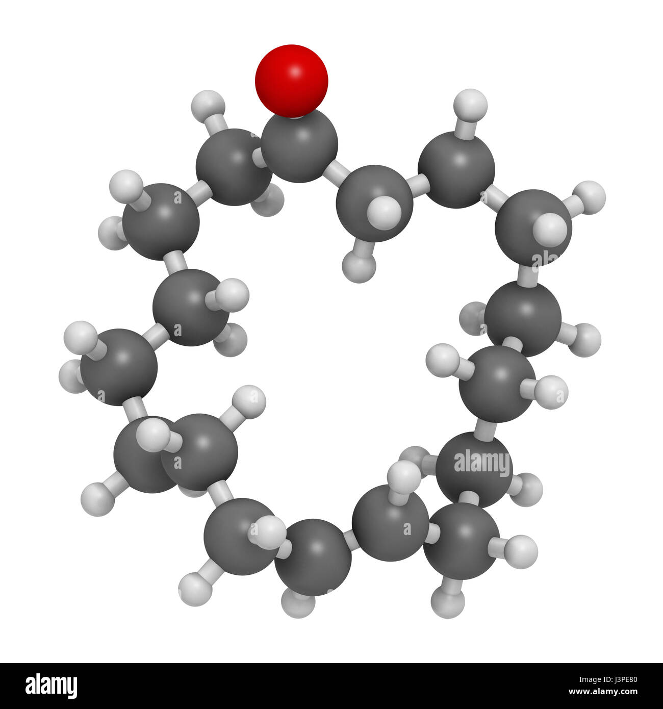 Civetone civet cat pheromone molecule. Used in perfume. Atoms are ...