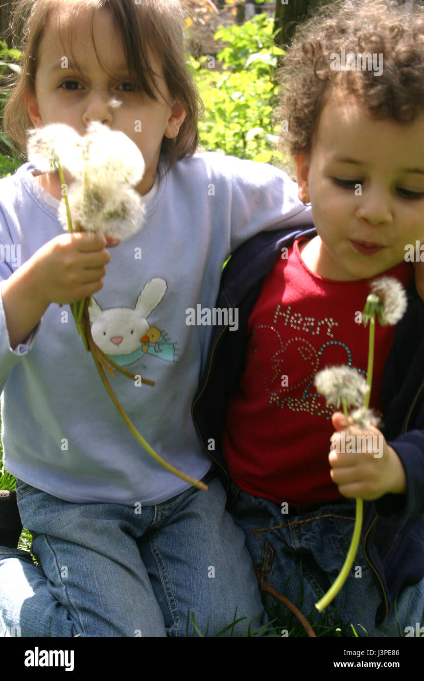 Two little girls blowing into dandelion puffs Stock Photo - Alamy
