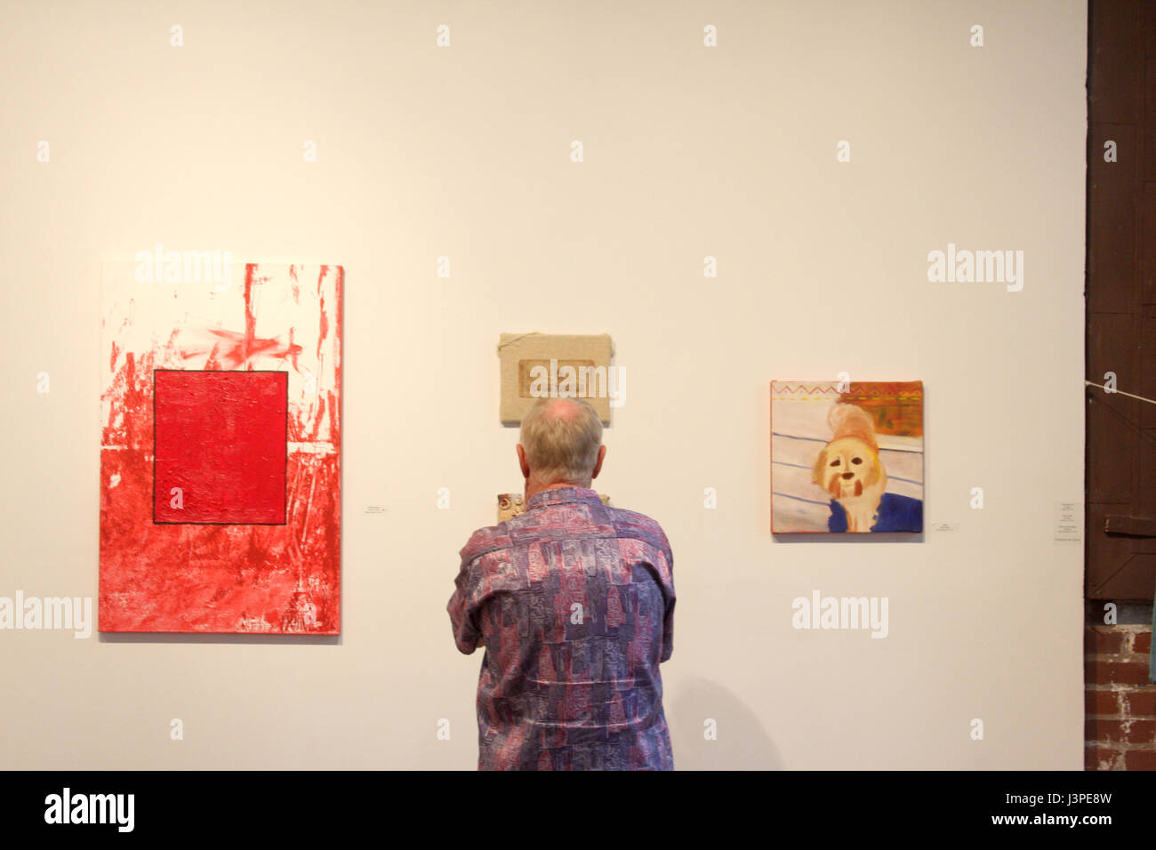 People looking closely at exhibit hi-res stock photography and images ...