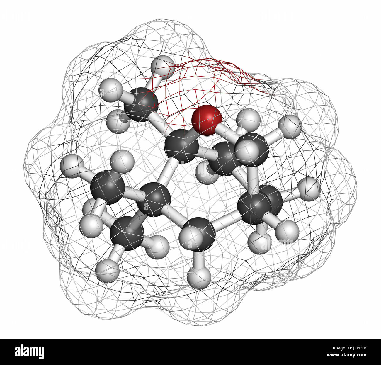 Eucalyptol eucalyptus oil molecule. Atoms are represented as spheres ...