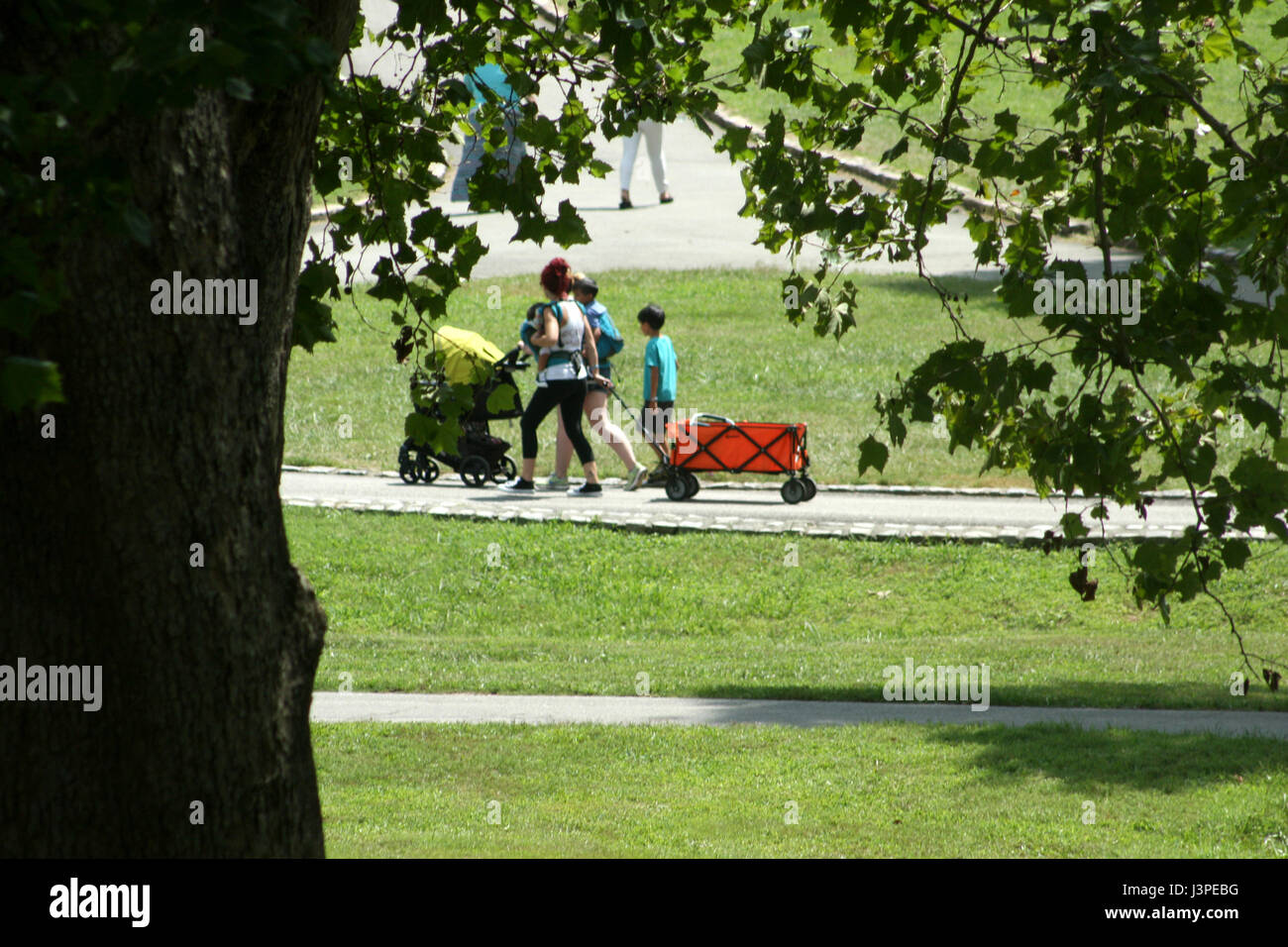 Family with children walking together in park Stock Photo - Alamy