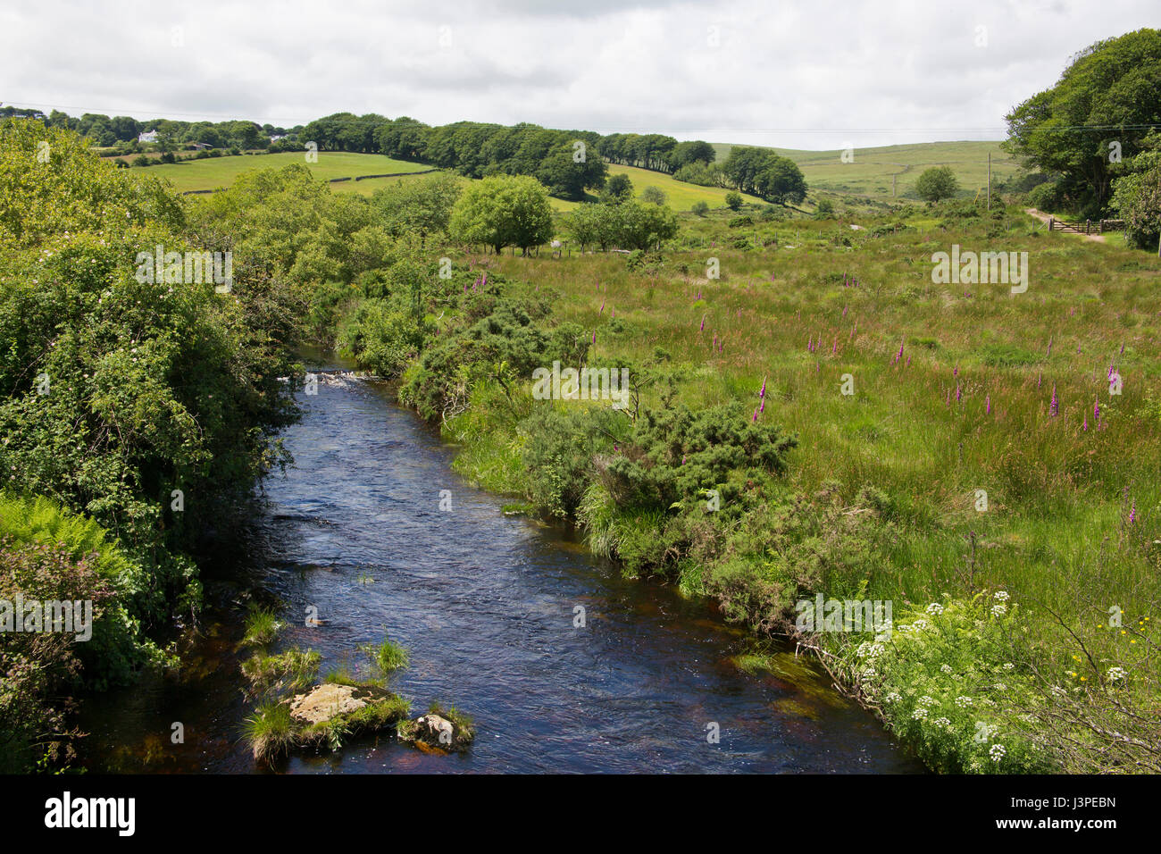 River Dart flowing through countryside at Postbridge, Dartmoor National ...