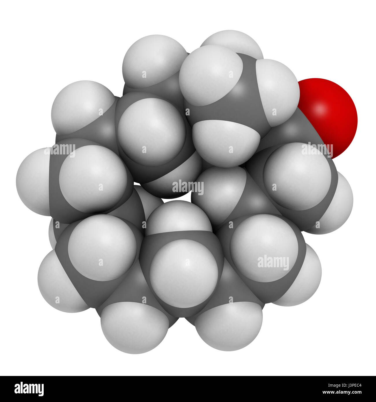 Muscone musk odor molecule. Atoms are represented as spheres with ...