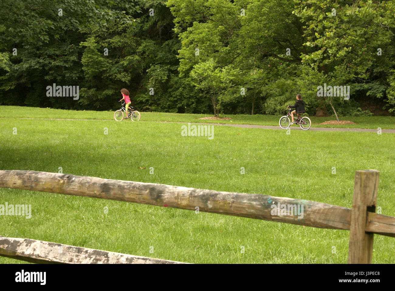 Two girls riding bikes in park in summer day Stock Photo - Alamy
