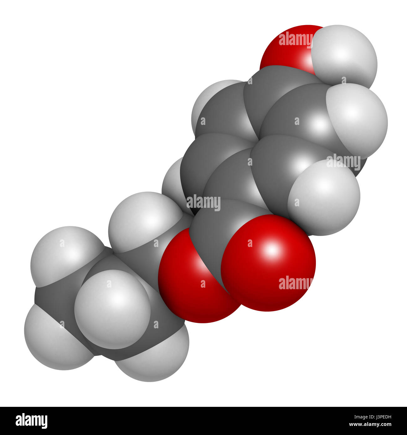Propylparaben preservative molecule (paraben class). Atoms are ...