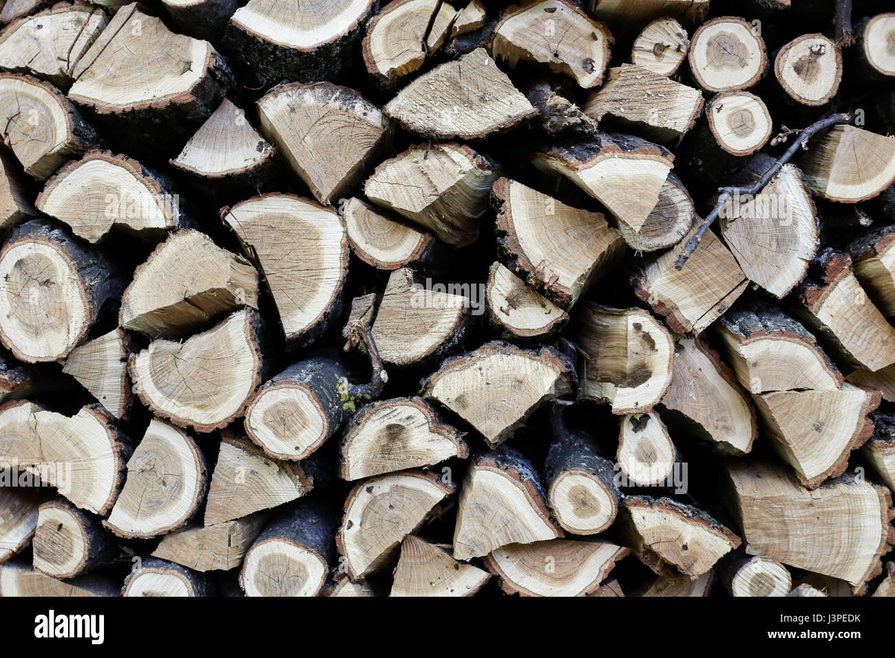 Background of dry chopped oak firewood logs stacked up on top of each ...