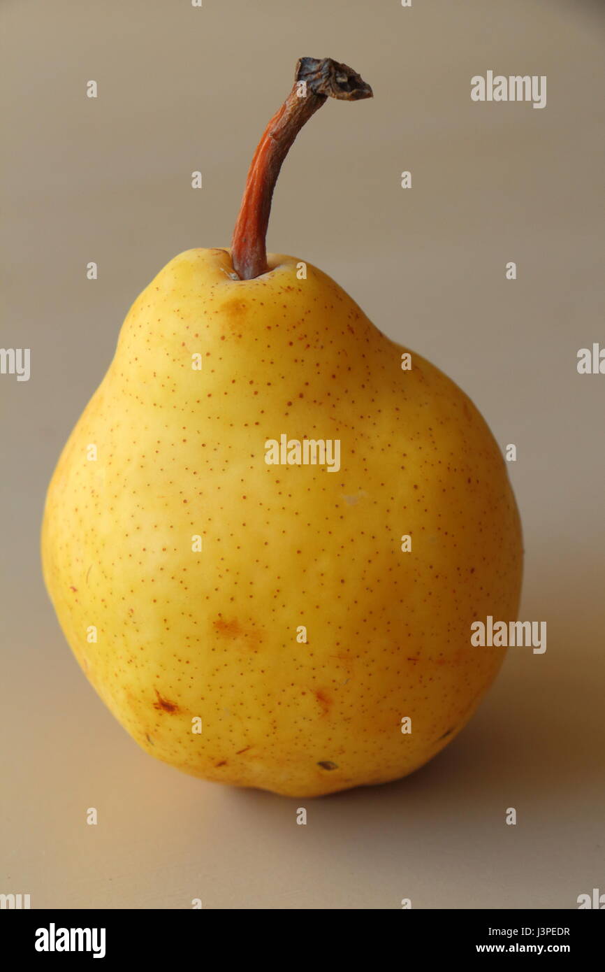 Pear with stalk hi-res stock photography and images - Alamy