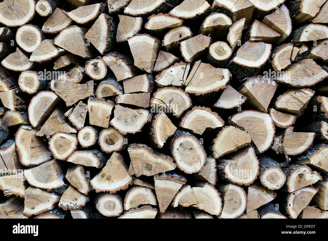Background of dry chopped oak firewood logs stacked up on top of each ...