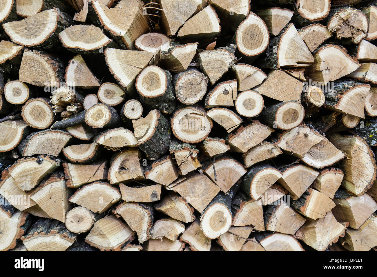 Background of dry chopped oak firewood logs stacked up on top of each ...