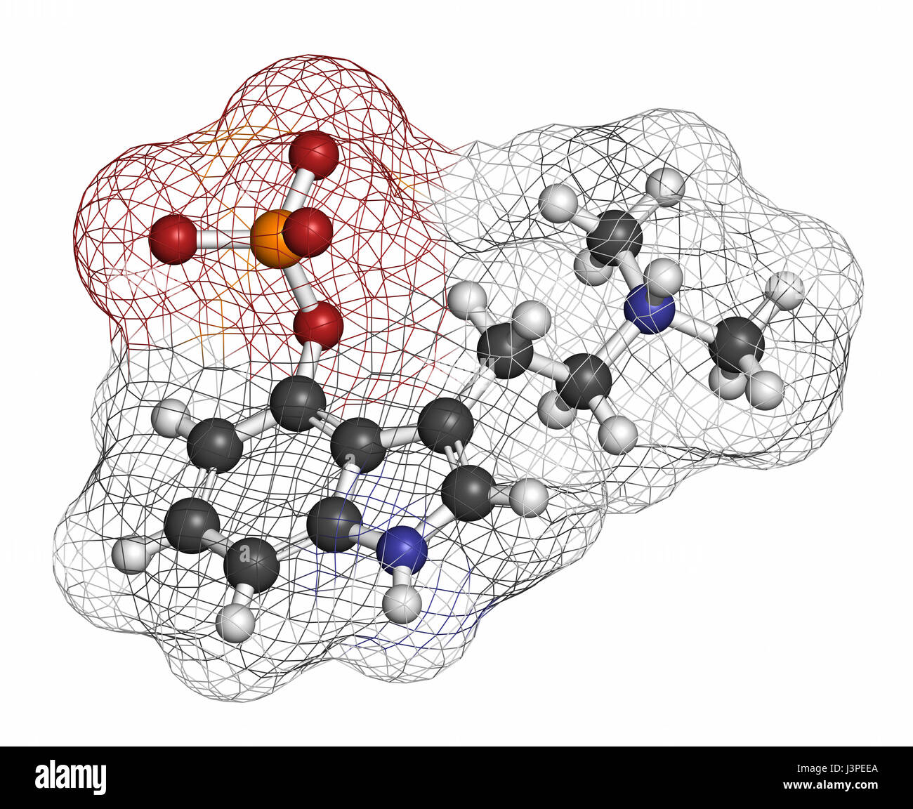 Psilocybin psychedelic mushroom molecule. Prodrug of psilocin. Atoms ...