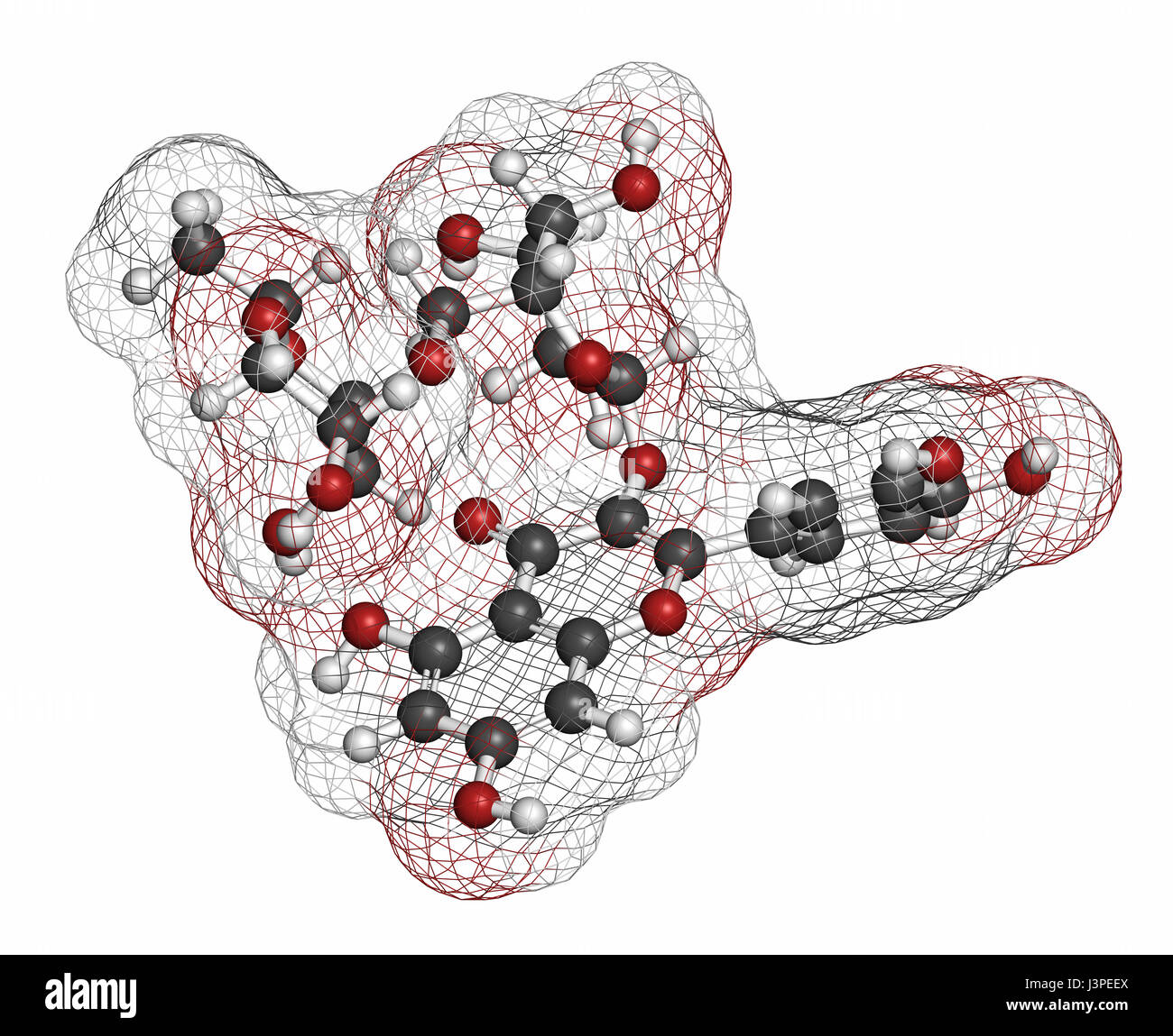 Rutin (rutoside, sophorin) molecule. Herbal glycoside composed of ...