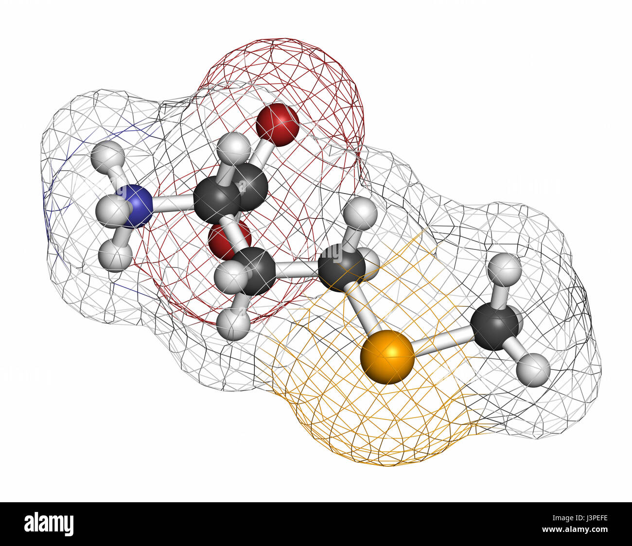 Selenomethionine Amino Acid Molecule Selenium Containing Natural Analog Of Methionine Atoms