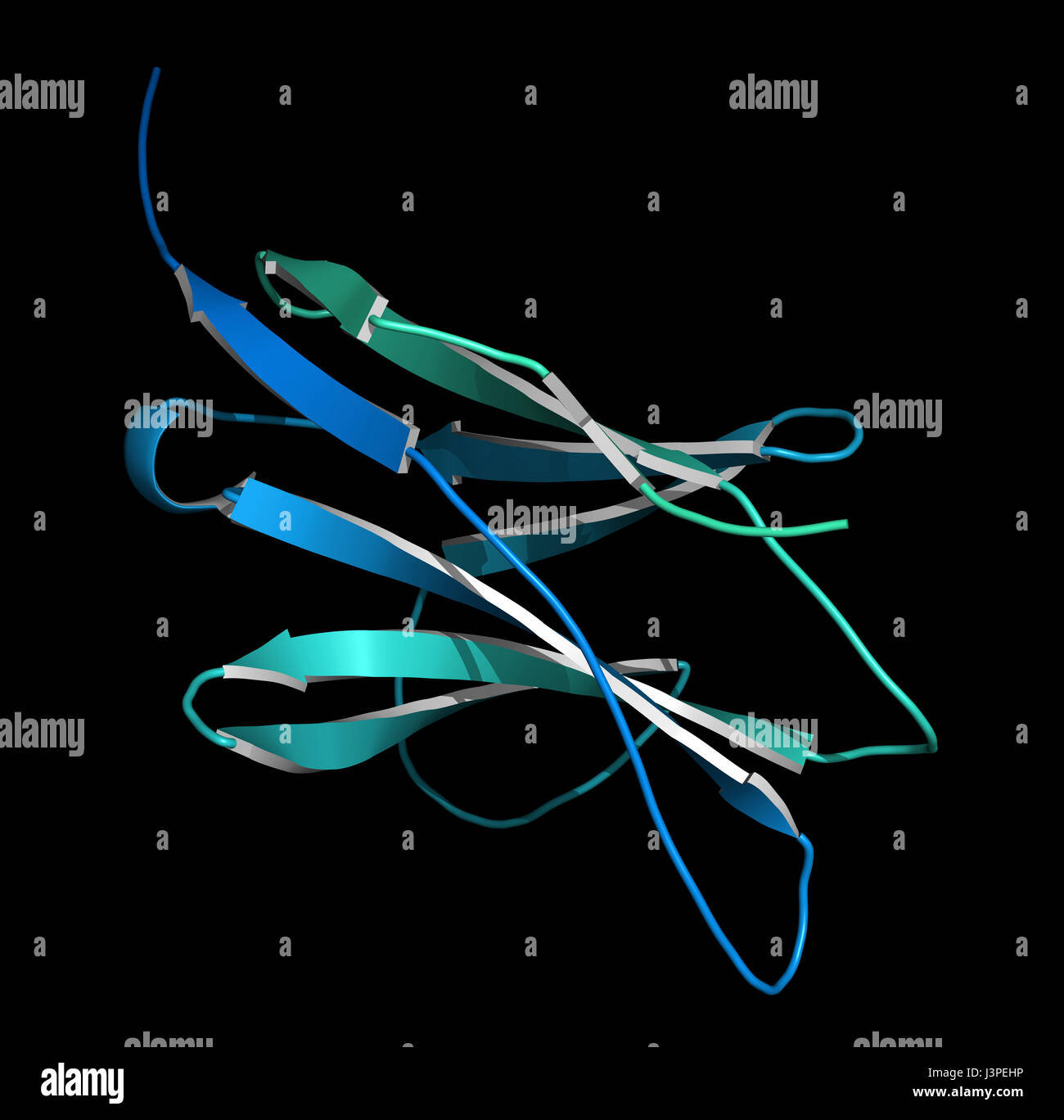 Pd 1 protein hi-res stock photography and images - Alamy