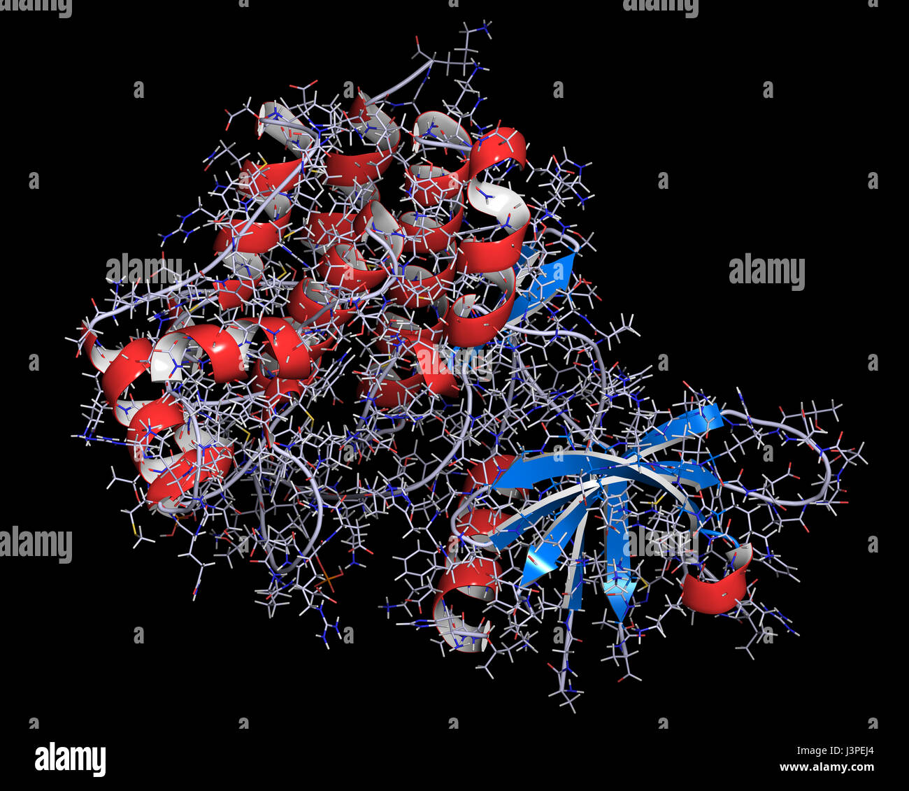 Janus kinase 1 protein. Part of JAK-STAT signalling pathway and drug ...