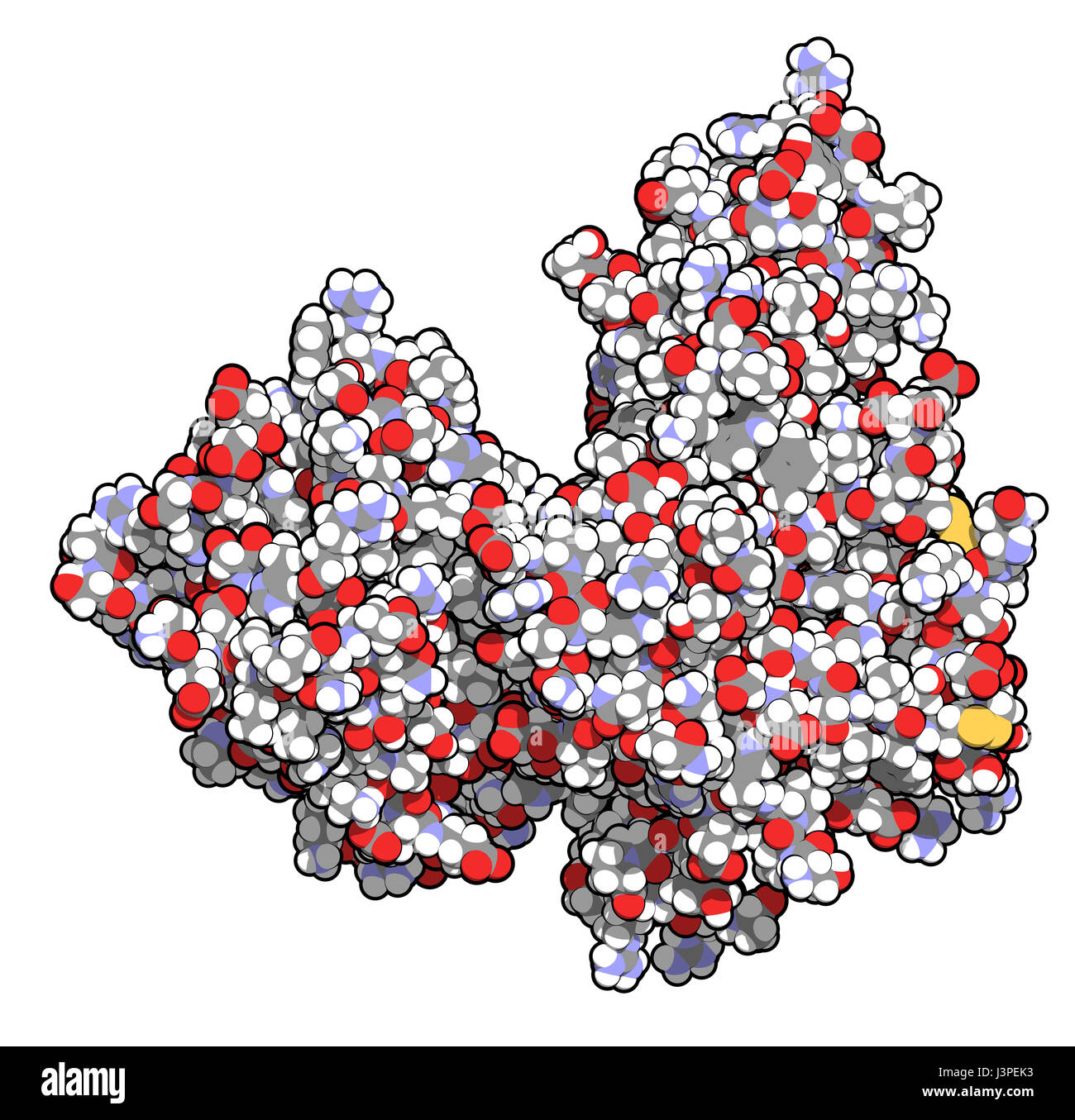 Proprotein convertase subtilisin kexin type 9 (PCSK9) protein. Target ...