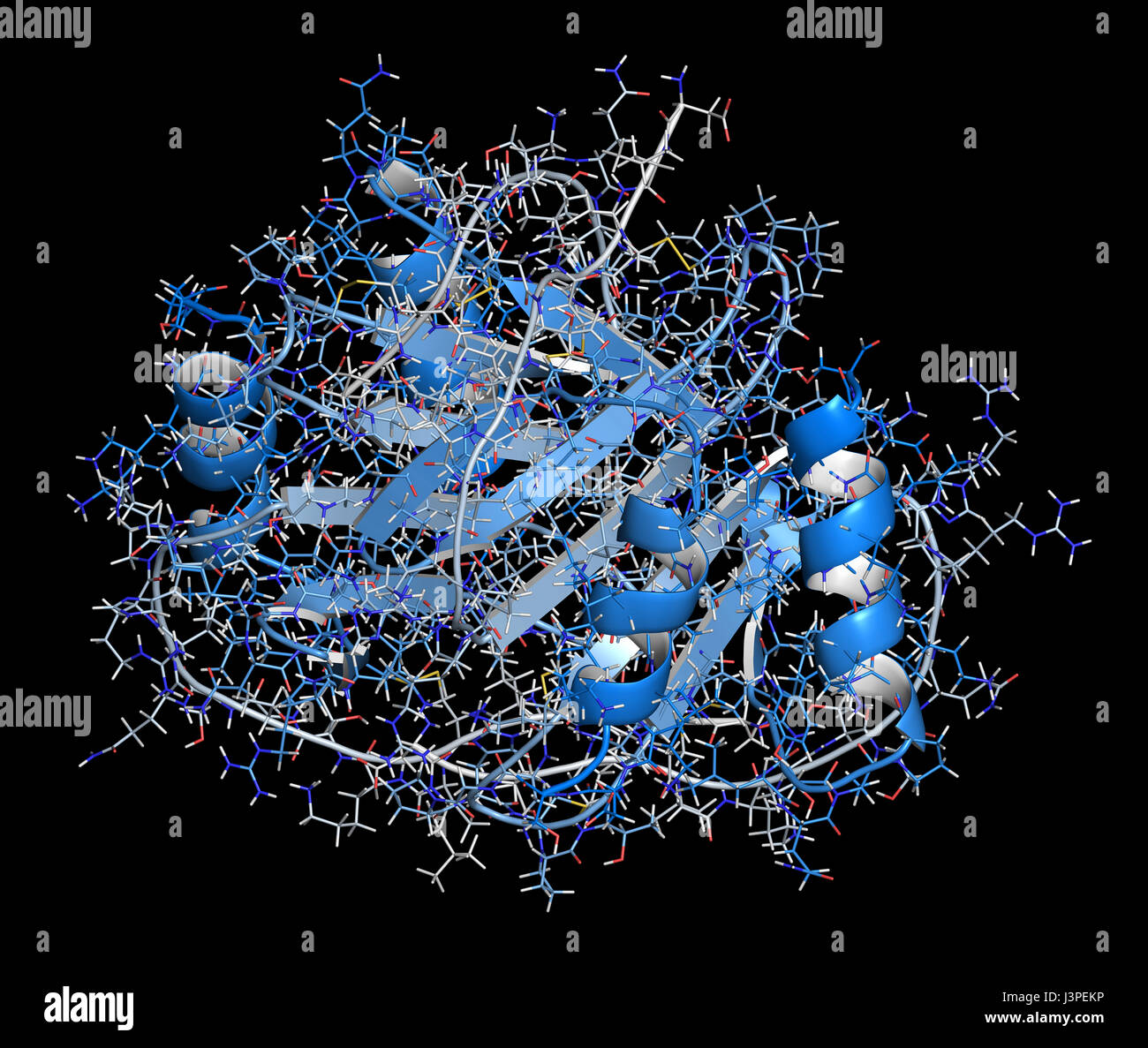 Platelet factor 4 (PF-4) chemokine protein. Cartoon + line ...