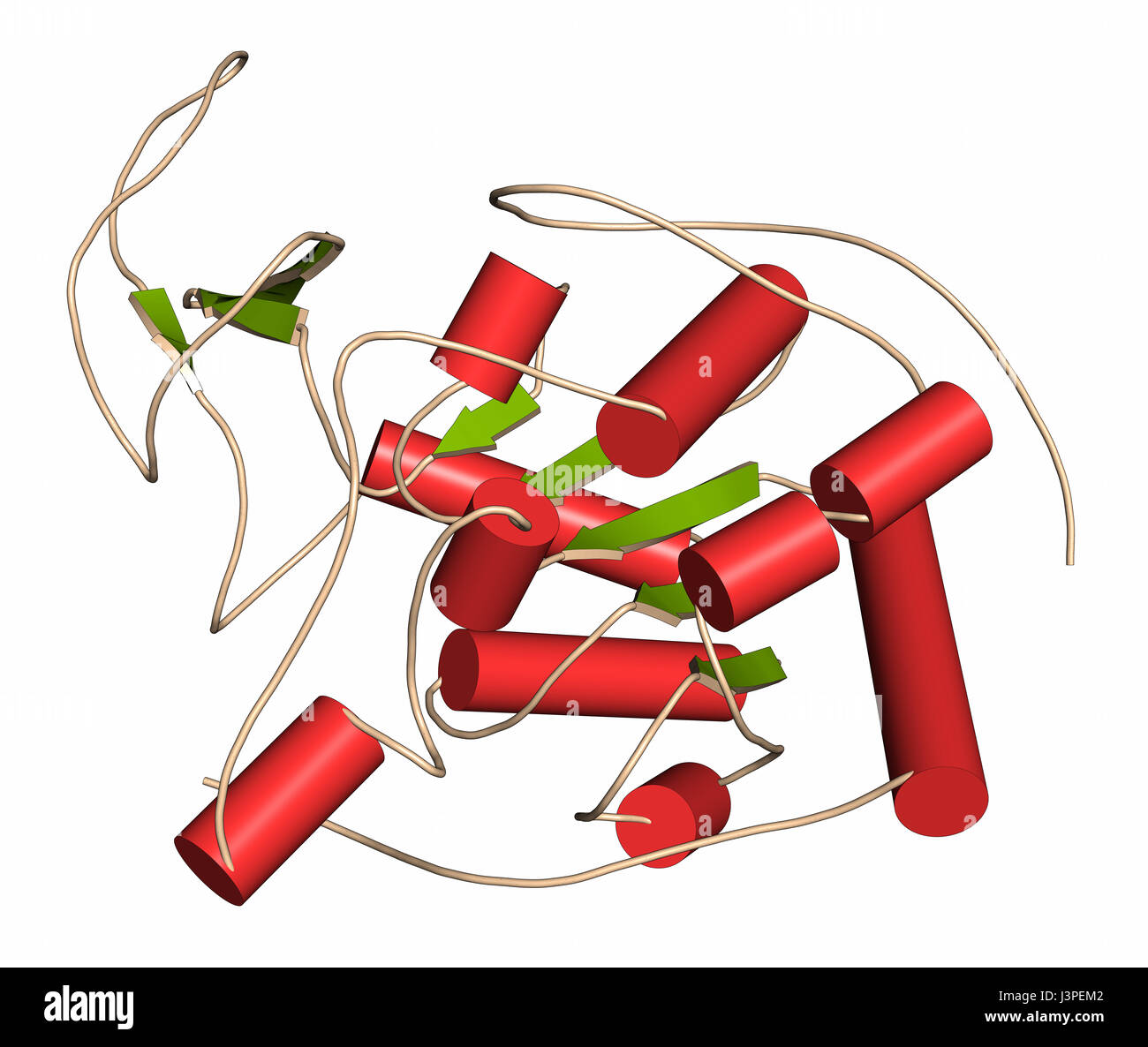 Sirtuin 6 hi-res stock photography and images - Alamy