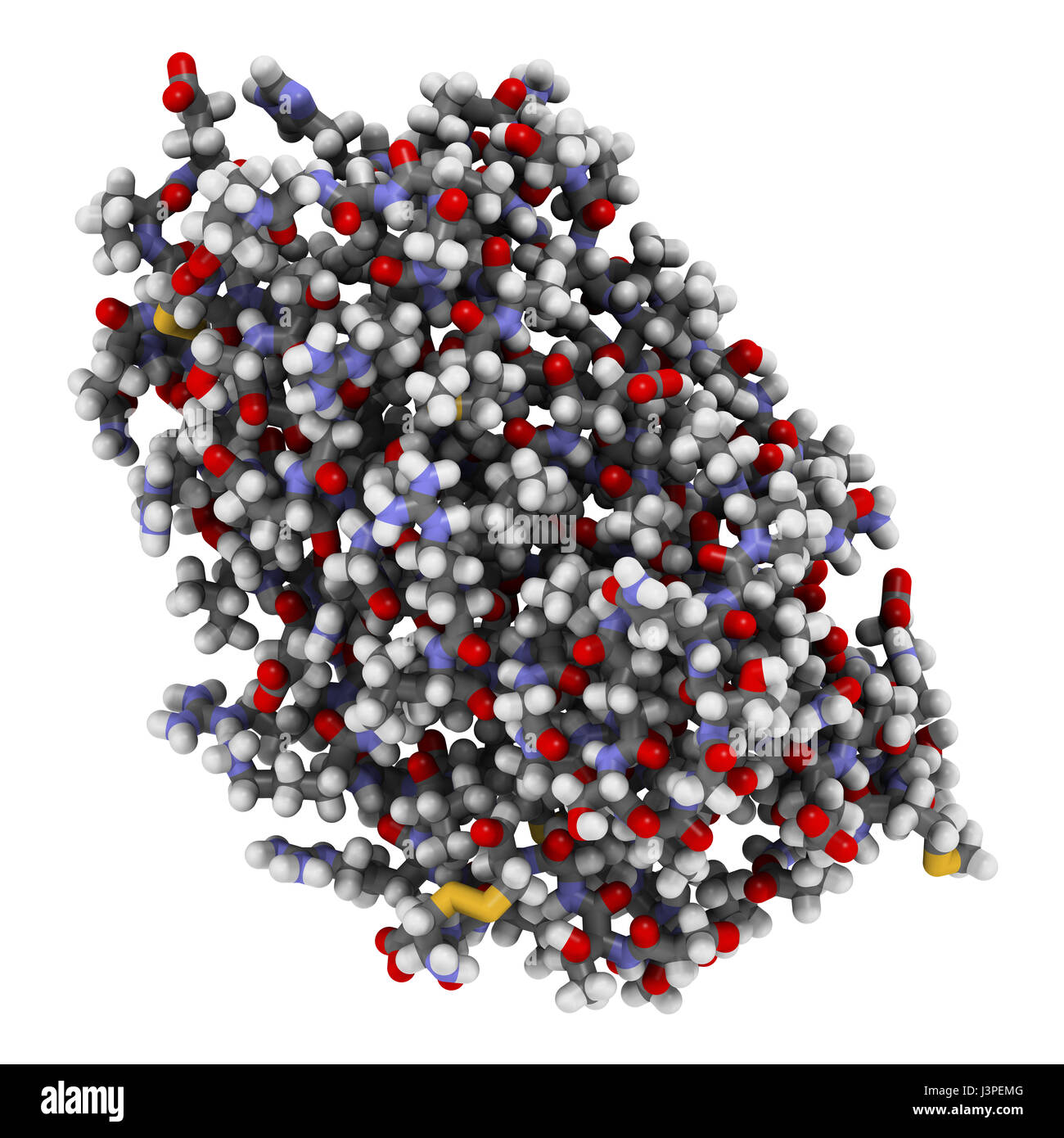 Thrombopoietin (THPO, functional domain) hormone. Regulates production ...
