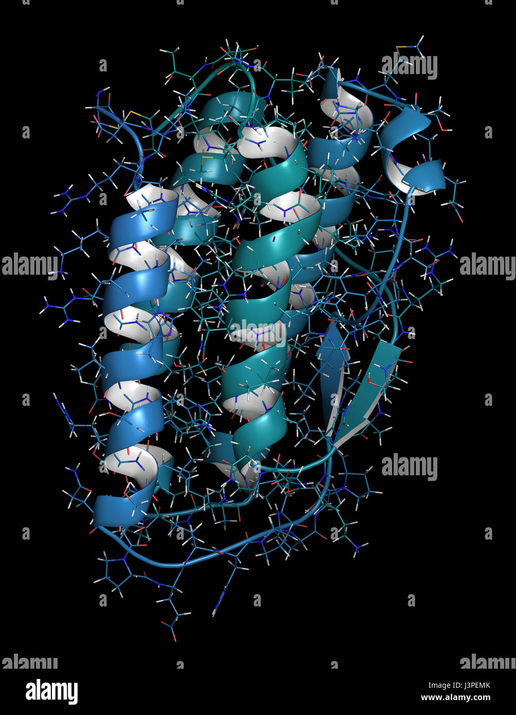 Thrombopoietin (THPO, functional domain) hormone. Regulates production ...