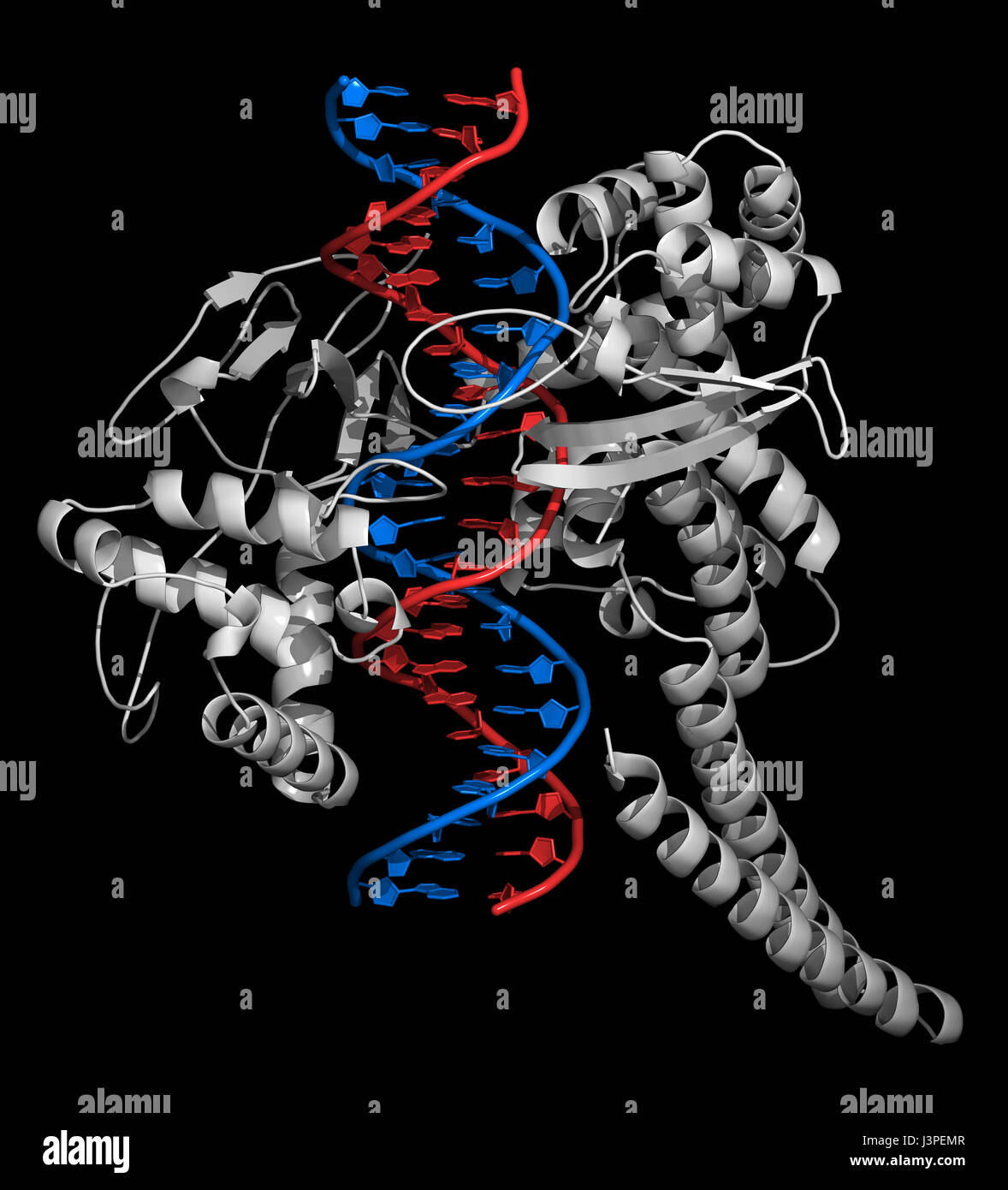 Dna topoisomerase hi-res stock photography and images - Alamy