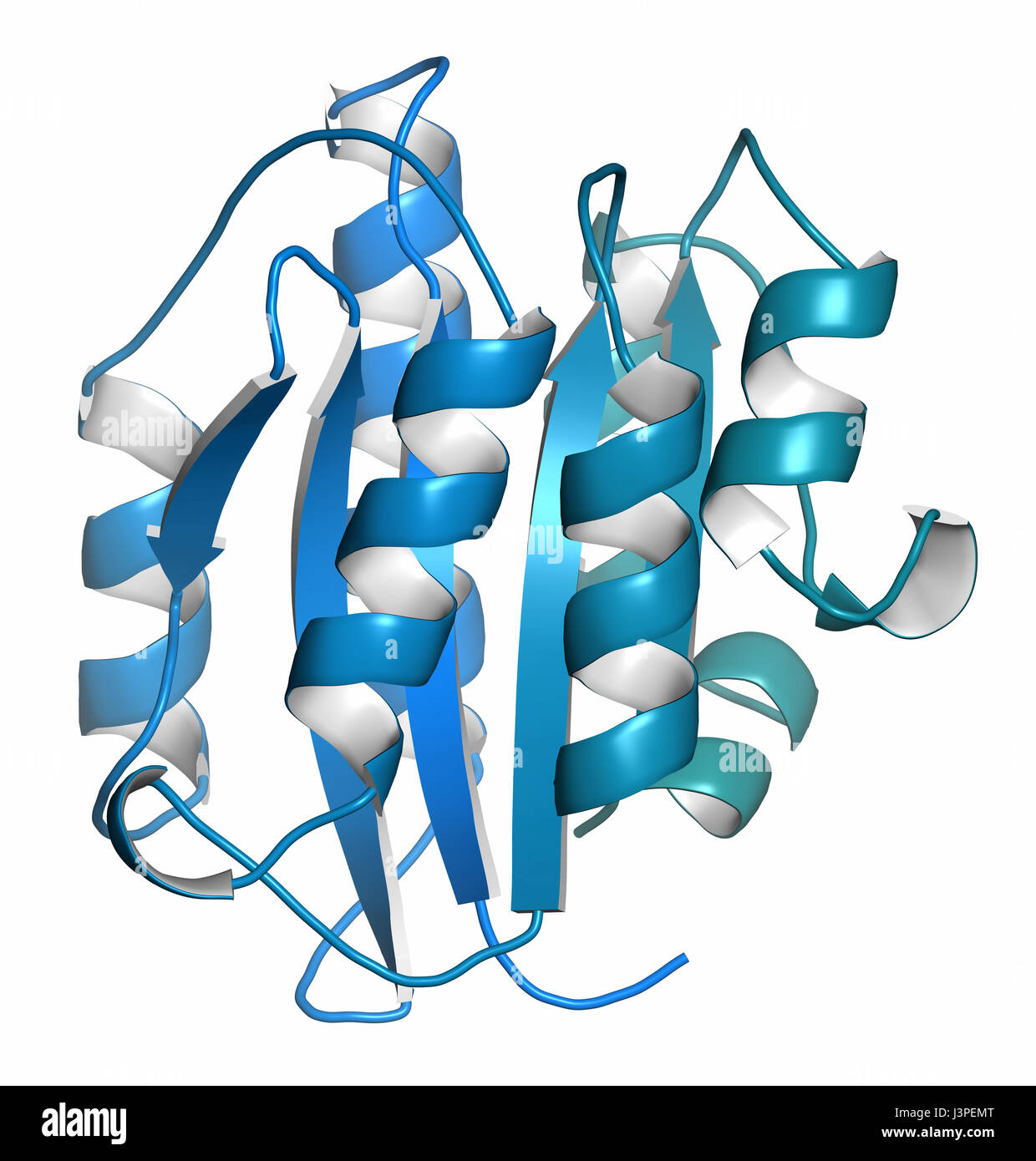 Von Willebrand factor (A3 domain). Defects and deficiencies cause ...