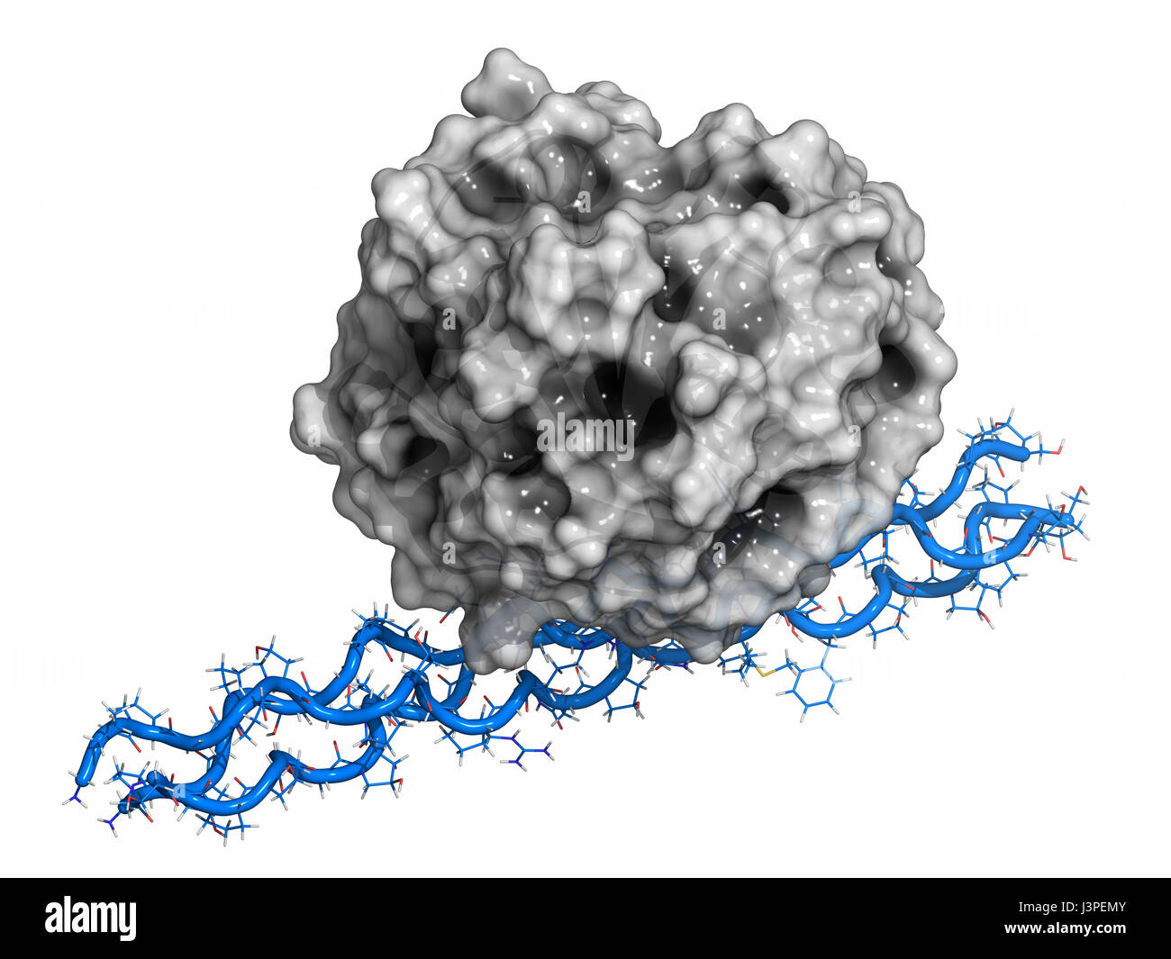 Von Willebrand factor (A3 domain) bound to collagen. Defects and ...