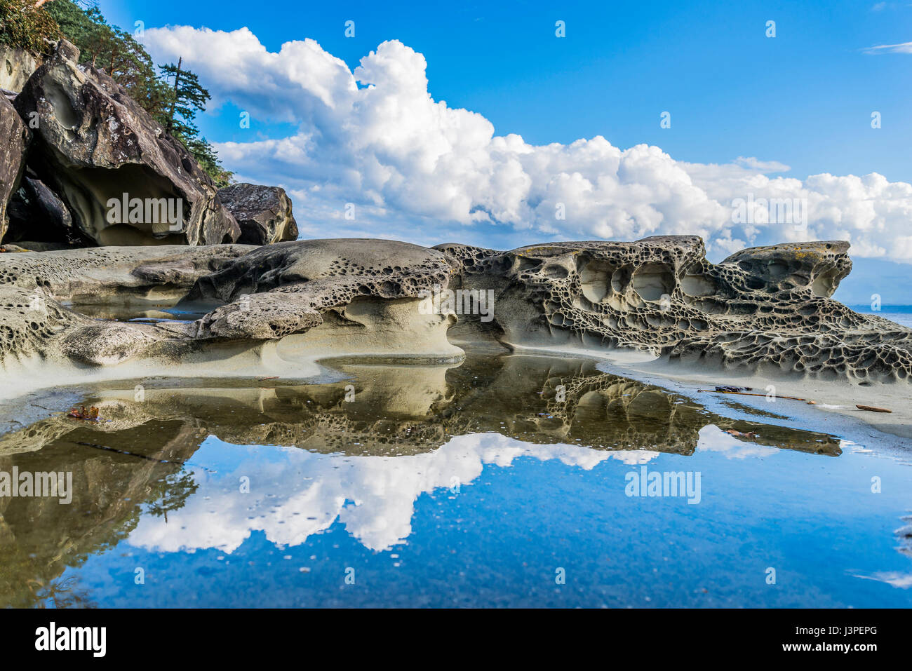 Wave eroded sandstone, Heron Rocks, Hornby Island, British Columbia ...