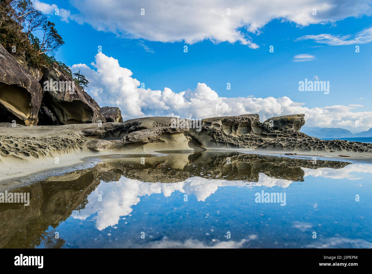 Wave eroded sandstone, Heron Rocks, Hornby Island, British Columbia ...