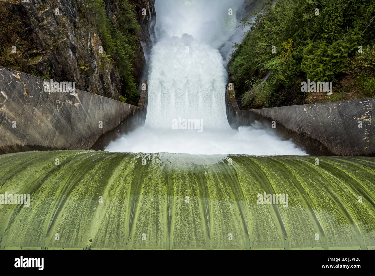 Cleveland Dam, Capilano River Regional Park, N. Vancouver, British ...