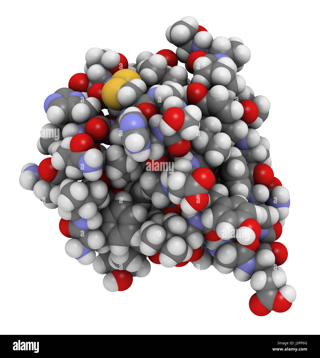 Insulin molecule Cut Out Stock Images & Pictures - Alamy