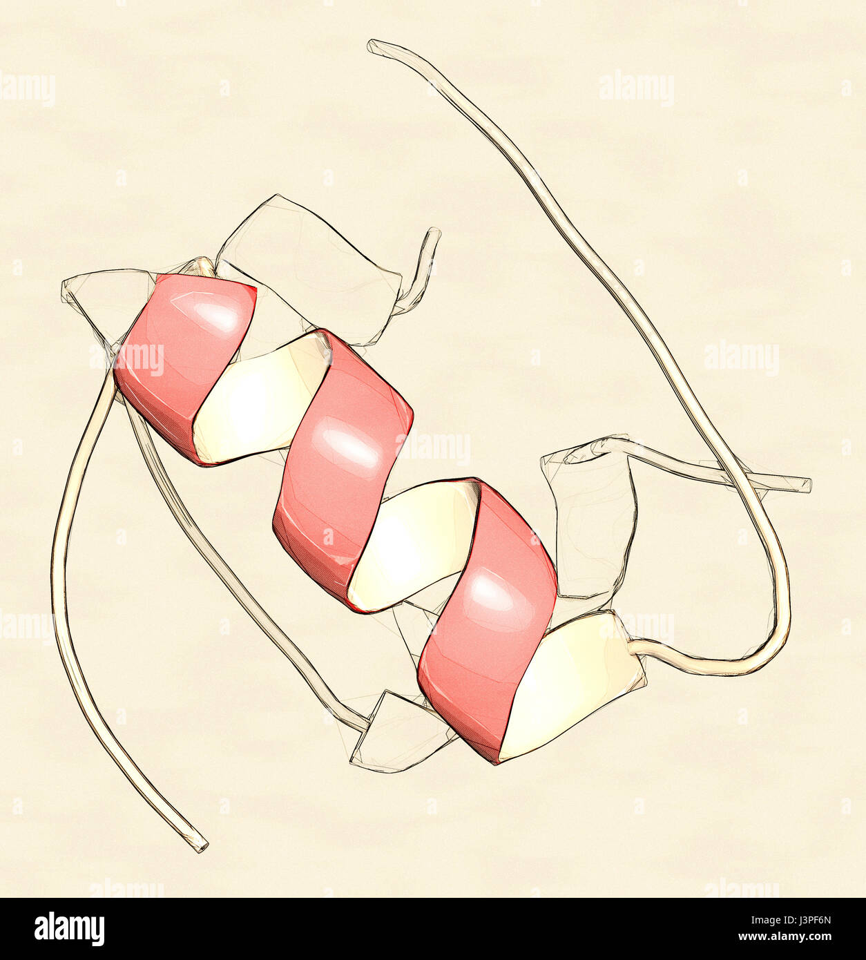 Insulin peptide hormone molecule. Used in treatment of diabetes ...