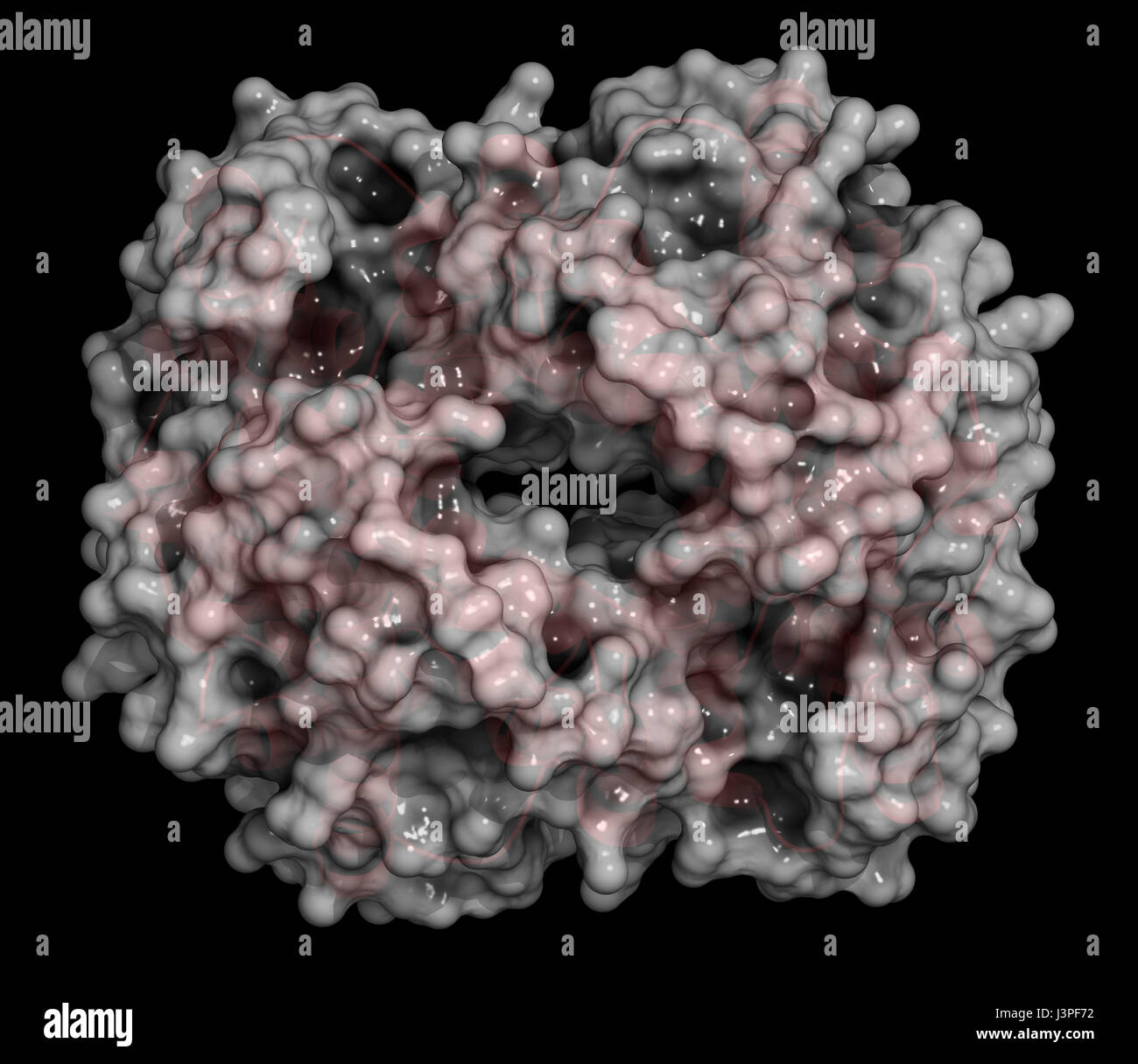 Haemoglobin protein High Resolution Stock Photography and Images - Alamy