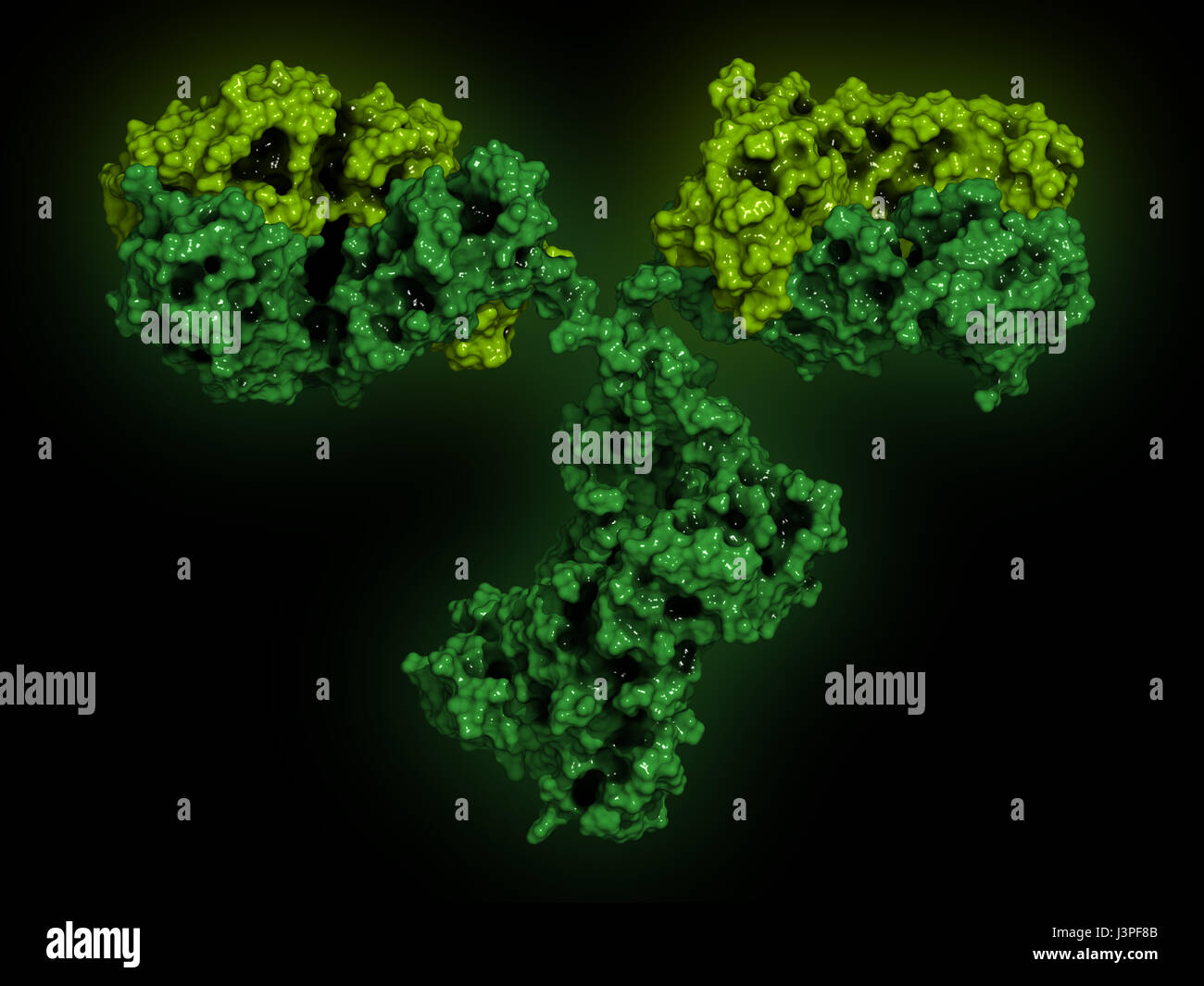 IgG2a monoclonal antibody (immunoglobulin). Many biotech drugs are ...