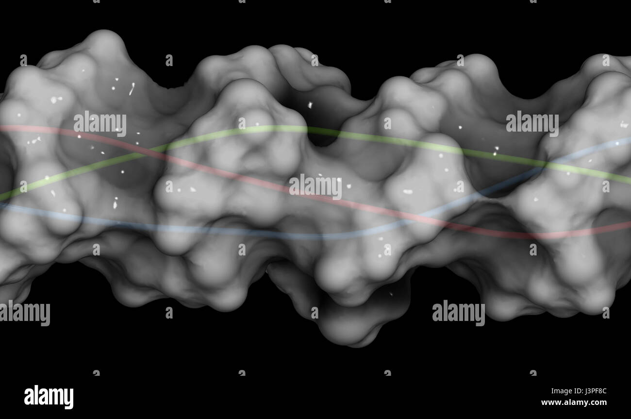Collagen model protein, chemical structure. Essential component of skin ...
