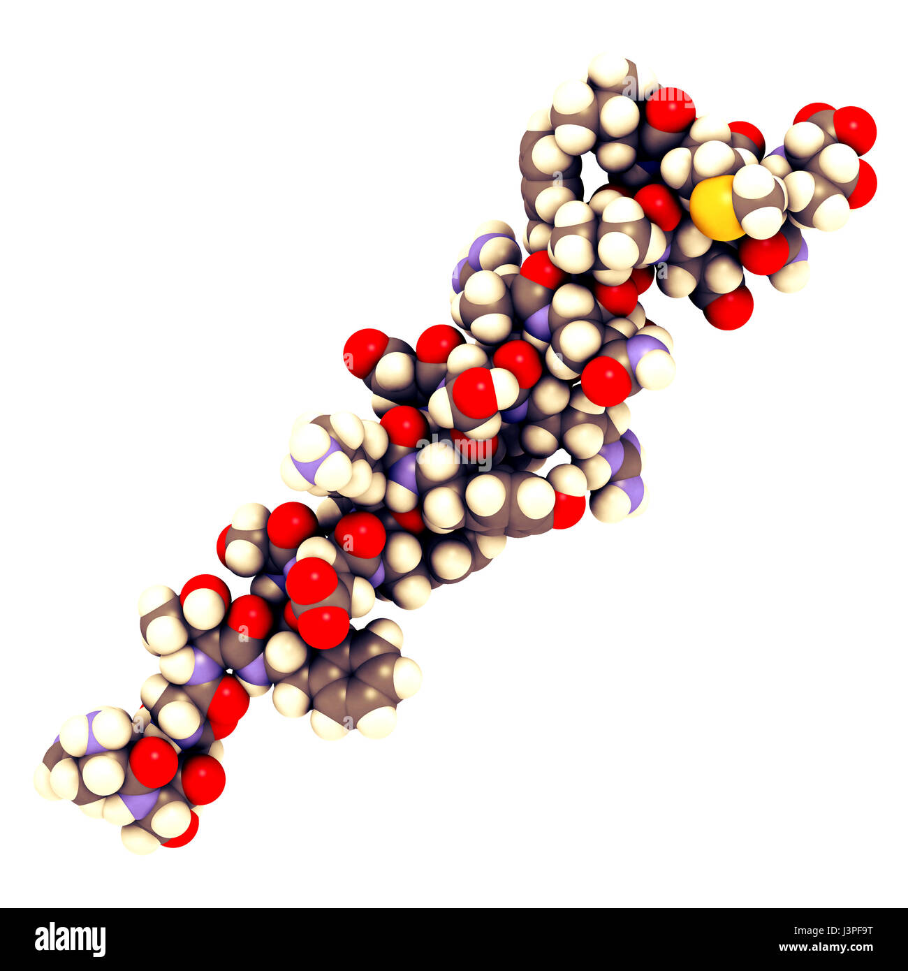 Insulin polypeptide structure Cut Out Stock Images & Pictures - Alamy