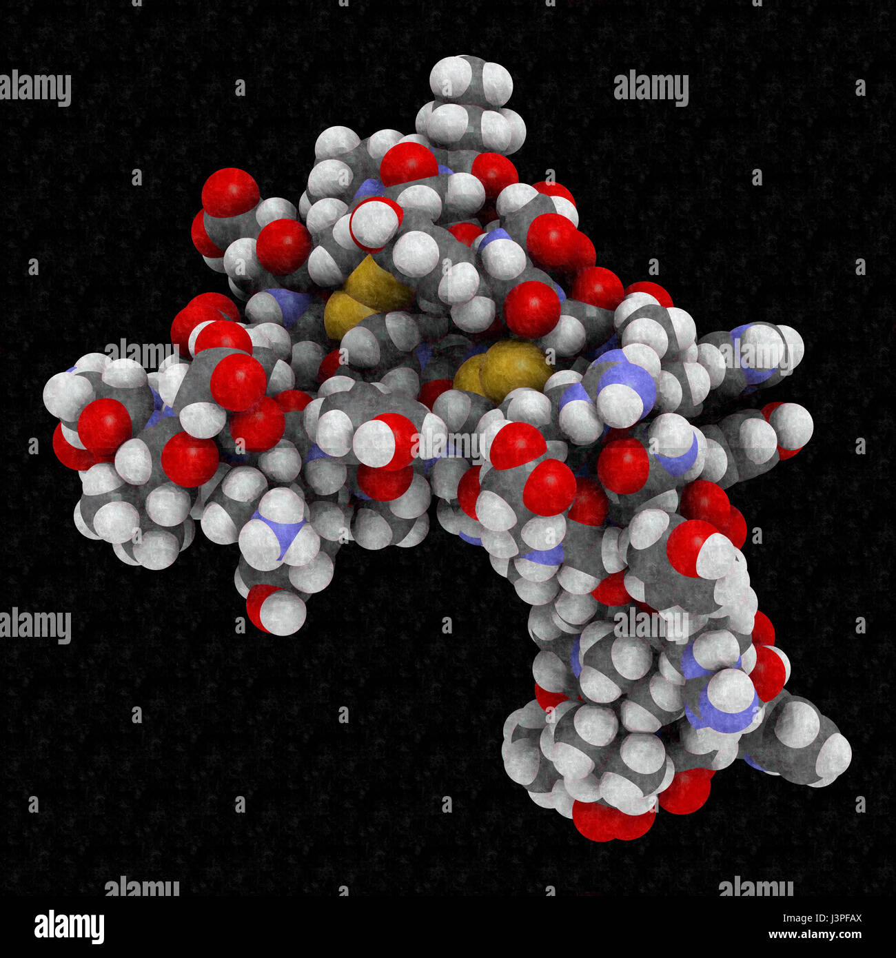 Epidermal growth factor (EGF) signaling protein molecule. Atoms are ...